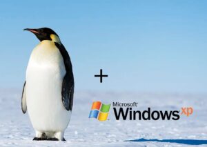 ¿Cómo Conectar Linux con XP?